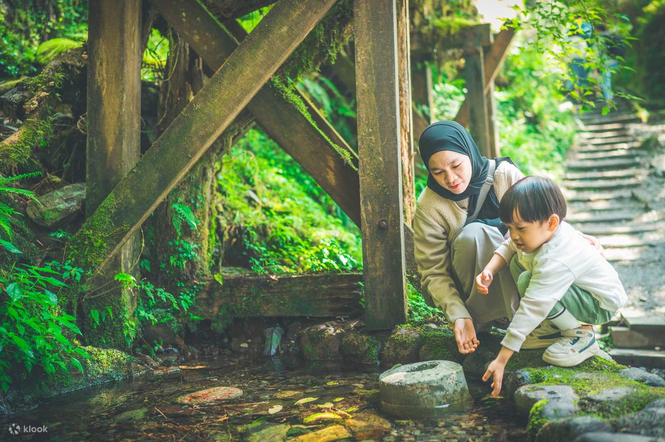 {Muslim Friendly] Taipingshan the captivating high mountain - Klook ...